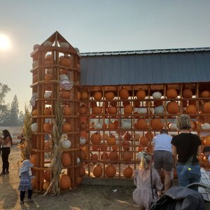 REMLINGER FARMS - 303 Photos & 231 Reviews - 32610 NE 32nd St ...