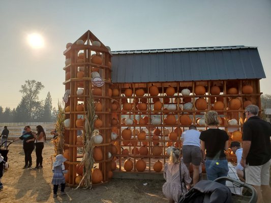 REMLINGER FARMS - Updated July 2024 - 581 Photos & 257 Reviews - 32610 ...