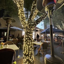 TOULOUSE CAFÉ AND BAR - Updated January 2026 - 1201 Photos & 629 Real ...