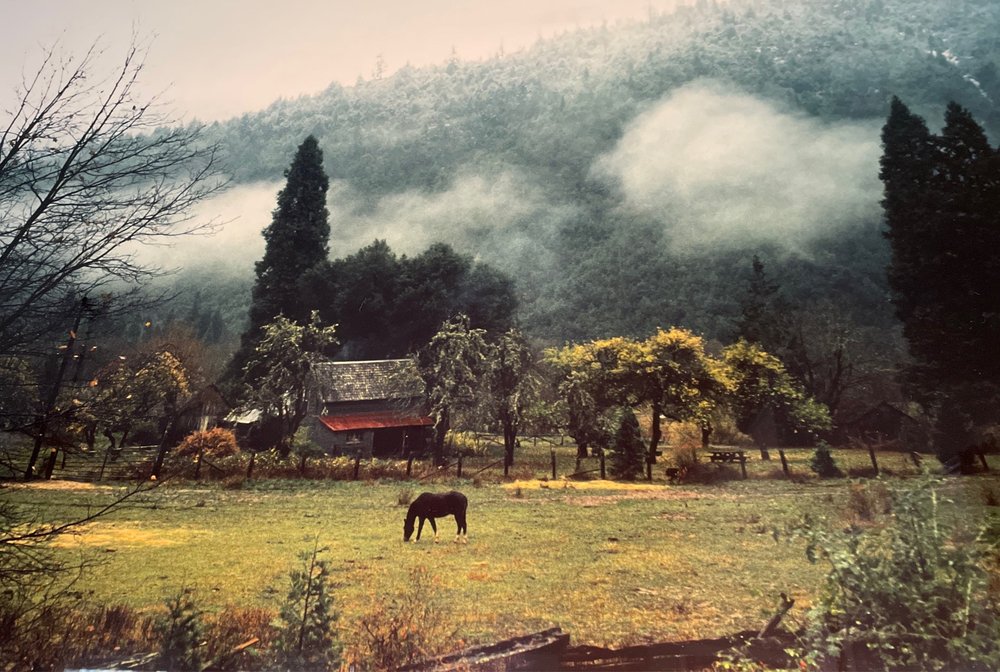 PURE COLOR MIKE KELLY PHOTOGRAPHY - Updated December 2025 - Laguna ...