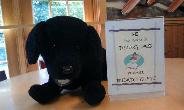 KITSAP REGIONAL LIBRARY - Updated December 2025 - 11 Photos - 700 NE ...