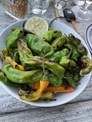 THE TWISTED TAIL - 883 Photos & 652 Reviews - 509 S 2nd St ...