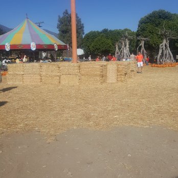 FILLMORE & WESTERN RAILWAY - Updated December 2025 - 196 Photos & 215 ...