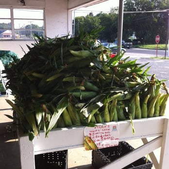 STELLA FARMS - Updated June 2024 - 20 Photos & 27 Reviews - 459 New ...