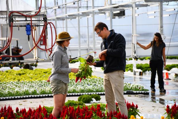 GERTENS - Updated November 2024 - 124 Photos & 77 Reviews - 5500 Blaine Ave, Inver Grove Heights ...