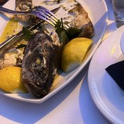 ELIA MEDITERRANEAN RESTAURANT - 1151 Photos & 478 Reviews ...