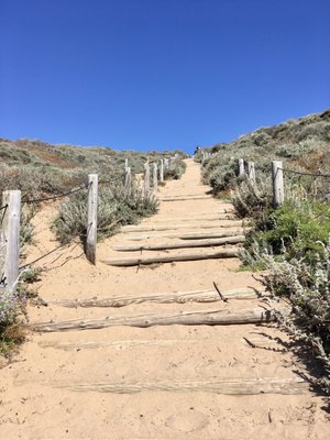 BAKER BEACH SAND LADDER - Updated April 2024 - 80 Photos & 36 Reviews ...