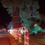 WINTERHAVEN FESTIVAL OF LIGHTS - 185 Photos & 52 Reviews - Festivals ...