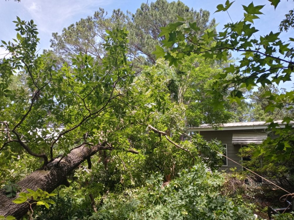 ONE SOURCE TREE SERVICE & LANDSCAPE - Request a Quote - 46 Photos ...