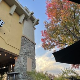 BACCHUS HOUSE WINE BAR & BISTRO - Updated November 2024 - 683 Photos ...