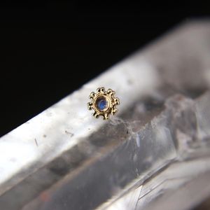 THE INSECT ASYLUM - Updated December 2025 - 65 Photos & 15 Reviews ...