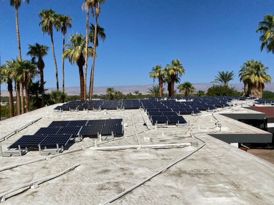 FREEDOM FOREVER - Updated October 2024 - 236 Photos & 404 Reviews ...