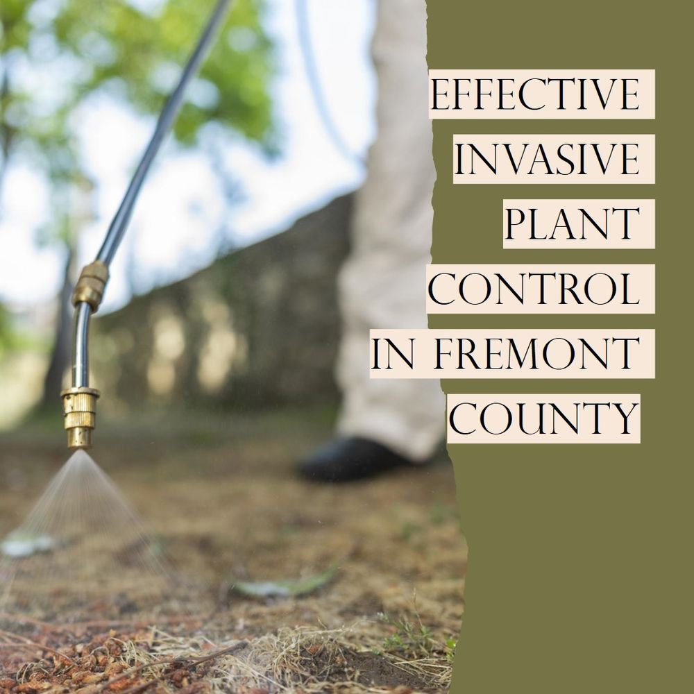 WIND RIVER WEED - Updated October 2025 - 29 Photos - Lander, Wyoming - Lawn Services - Phone ...