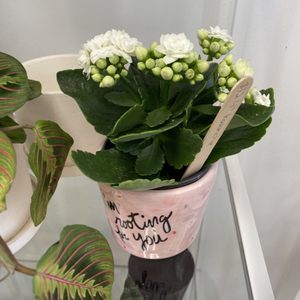 CAN DO HARDWARE - Updated April 2025 - 44 Photos - 303 3rd Ave SW ...