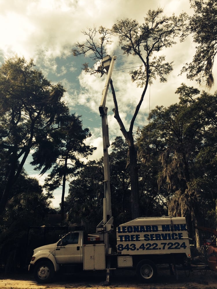 LEONARD MINK TREE SERVICE - Updated July 2025 - Hilton Head Island ...