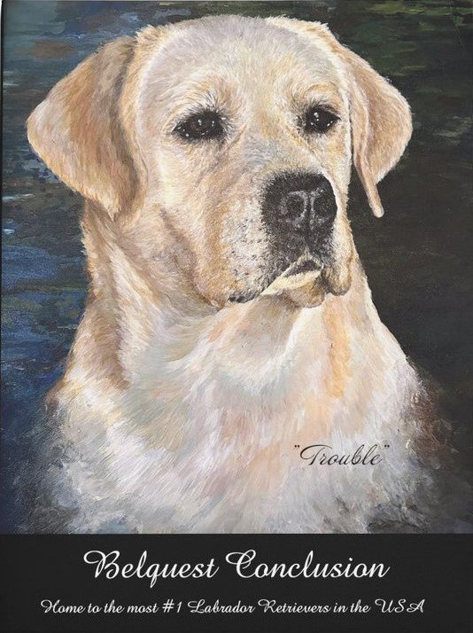 BELQUEST CONCLUSION - Updated December 2025 - 17 Photos & 30 Reviews - 22510 Shiloh Church Rd ...