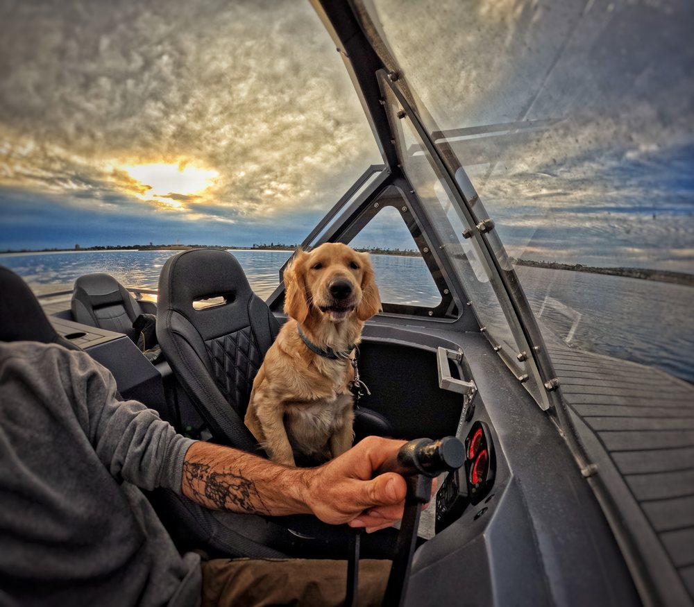 SOCAL MINI JET - Updated May 2024 - 4901 Morena Blvd, San Diego ...