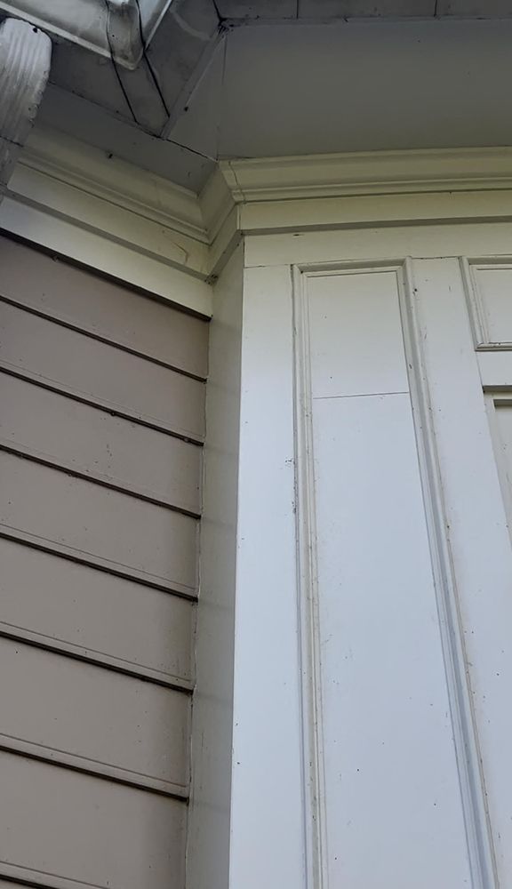 BEST PEST MANAGEMENT - Updated July 2024 - 9509 Sudley Manor Dr ...