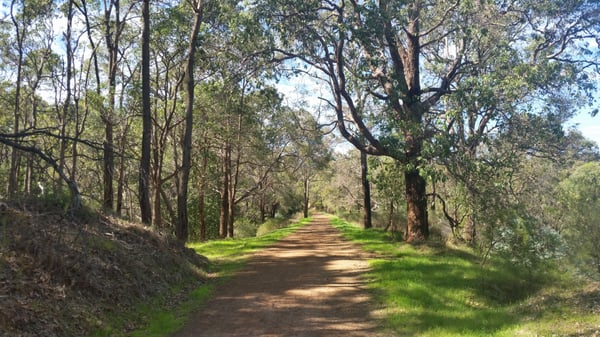 THE HERITAGE TRAIL - Updated October 2024 - 15 Photos - 21-23 Swan Rd ...