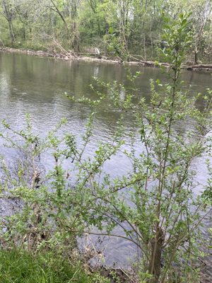 CASON TRAIL GREENWAY PARK AND TRAILHEAD - Updated April 2025 - 27 ...