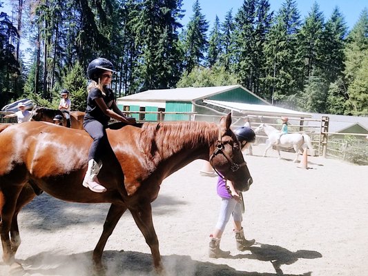 THE WHOLE HORSE PLACE - Updated October 2025 - 11 Photos - 4764 SW Old ...