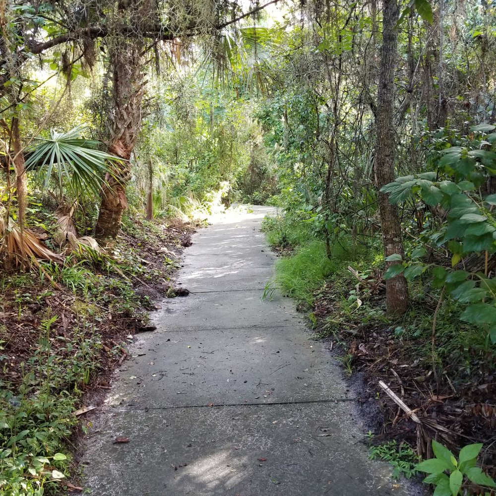 Enchanted Forest Sanctuary - 47 Photos - Hiking - 444 Columbia Blvd ...