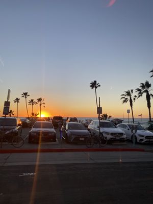 SHELLBACK TAVERN - Updated March 2024 - 205 Photos & 357 Reviews - 116 ...