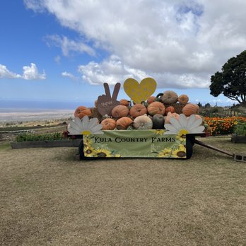 KULA COUNTRY FARMS - Updated December 2024 - 990 Photos & 127 Reviews ...