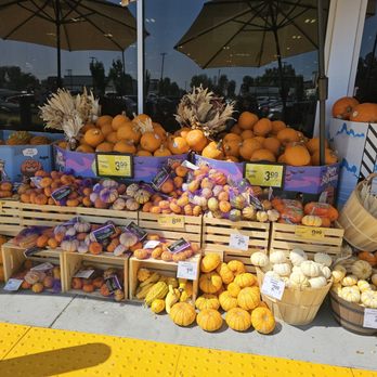 SAFEWAY - Updated January 2026 - 309 Photos & 88 Reviews - 1455 ...