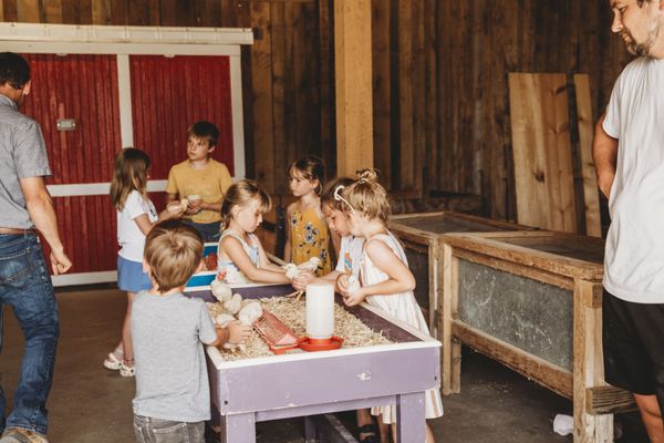 CRITTER BARN - Updated September 2025 - 59 Photos & 32 Reviews - 2950 ...