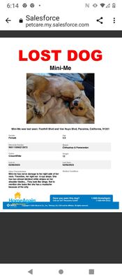 PLS FINANCIAL SERVICES - Updated December 2025 - 32 Reviews - 6801 Van ...