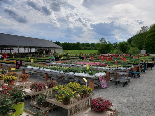 RANDALL’S FARM - 57 Photos & 70 Reviews - 631 Center St, Ludlow ...