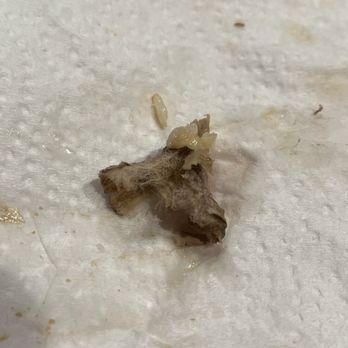 GOLDEN CHINA RESTAURANT - 186 Photos & 271 Reviews - 1115 Fair Oaks Ave ...