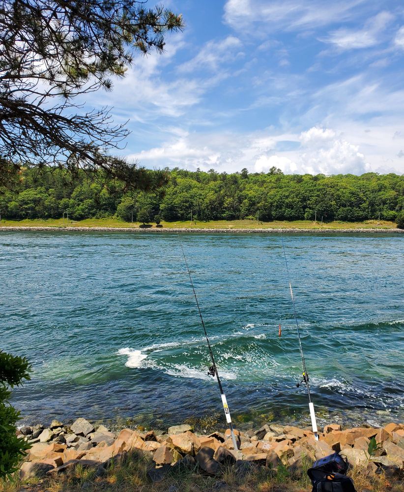CAPE COD CANAL BIKE PATH - Updated May 2024 - 48 Photos & 30 Reviews ...