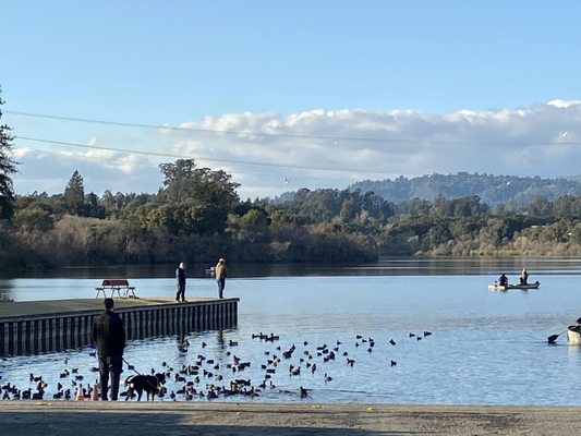 PINTO LAKE RV PARK - Updated January 2025 - 97 Photos & 77 Reviews ...