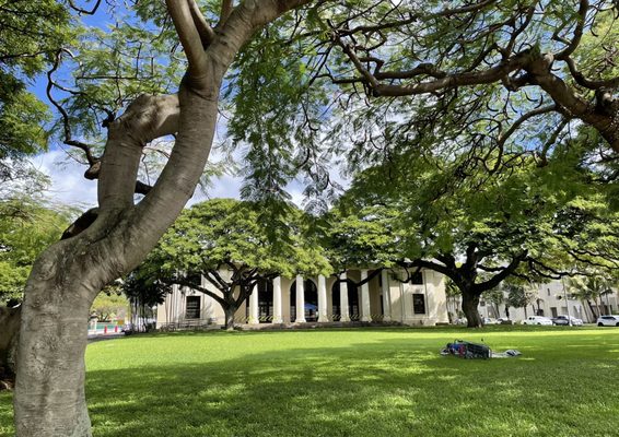 HAWAII STATE LIBRARY - Updated January 2025 - 317 Photos & 139 Reviews ...