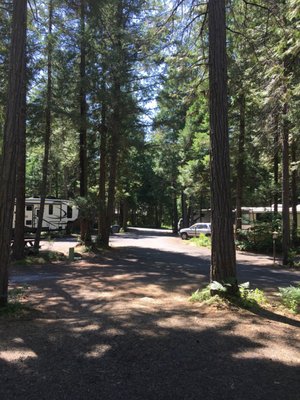 HOLIDAY FARM RV RESORT - Updated September 2025 - 54432 McKenzie Hwy ...