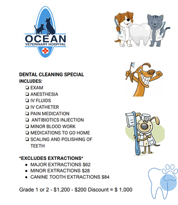OCEAN VETERINARY HOSPITAL - Updated January 2026 - 46 Photos & 43 ...