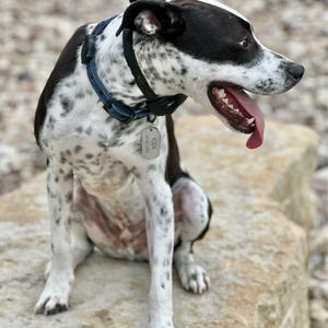 ARCHGATE PARK - Updated July 2025 - 16 Photos - 6700 Archgate Dr, Plano ...