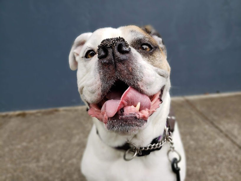 BRITTANY AND MATTHEW KNOLL - Updated October 2025 - 20 Photos - West ...