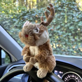 CONFUSION HILL - Updated December 2025 - 307 Photos & 112 Reviews ...