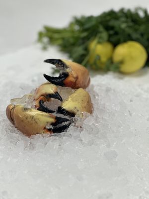 LAMB & CO - Updated December 2025 - 53 Photos & 14 Reviews - 1295 ...