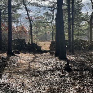 ESCOHEAG TRAIL - Updated July 2024 - 20 Photos - Escoheag Hill Rd ...