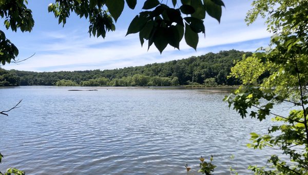 MORGAN FALLS OVERLOOK PARK - 235 Photos & 106 Reviews - 200 Morgan ...