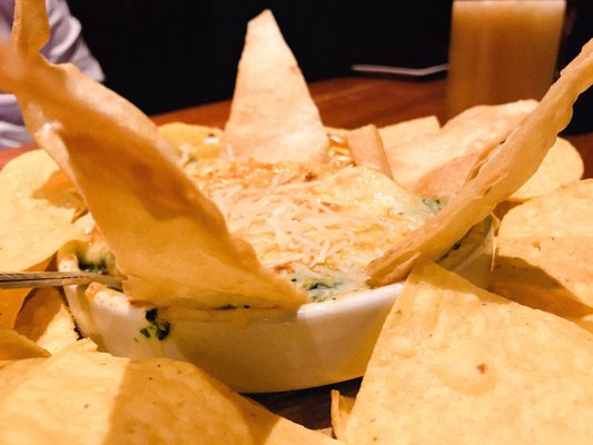 FLAMESTONE AMERICAN GRILL - 643 Photos & 604 Reviews - 4009 Tampa Rd ...