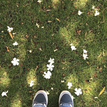 THE SQUARE PHX - Updated December 2025 - 141 Photos & 42 Reviews - 113 ...