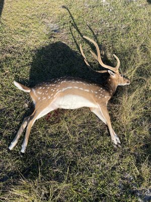 RAZZOR RANCH - Updated September 2025 - 45 Photos - 7019 Crooked Creek ...