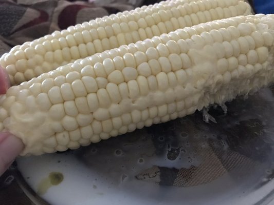 STELLA FARMS - Updated August 2024 - 20 Photos & 30 Reviews - 459 New ...