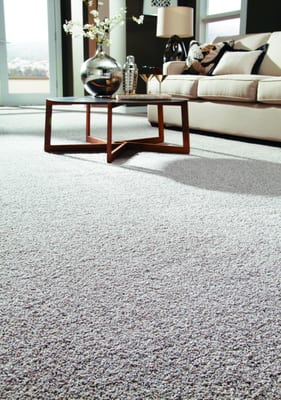 MR CARPET SHOP AT HOME - Updated December 2025 - 77 Photos & 276 ...