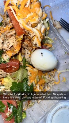 NICKY D’S CONEY ISLAND - Updated October 2025 - 88 Photos & 145 Reviews ...